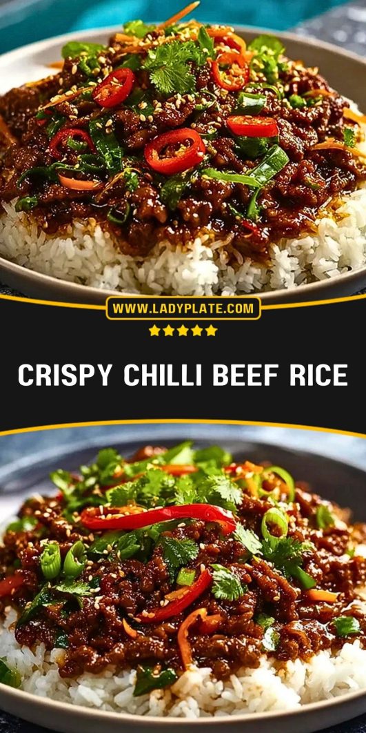 Crispy Chilli Beef Rice